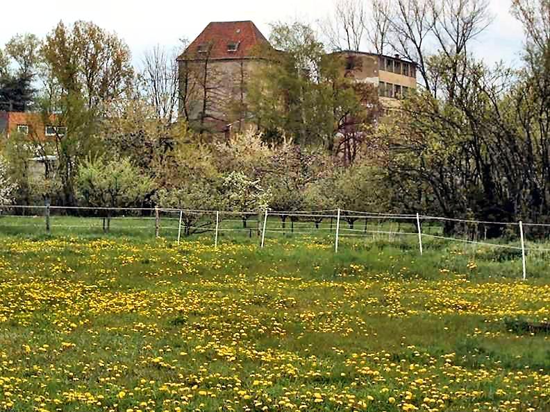 DIE RODENER MÜHLEN – Rodena